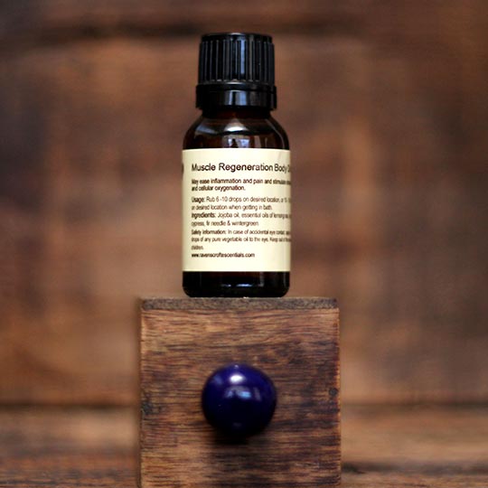 Muscle Regeneration Body Drops - Muscle Growth | Essential Oils ...